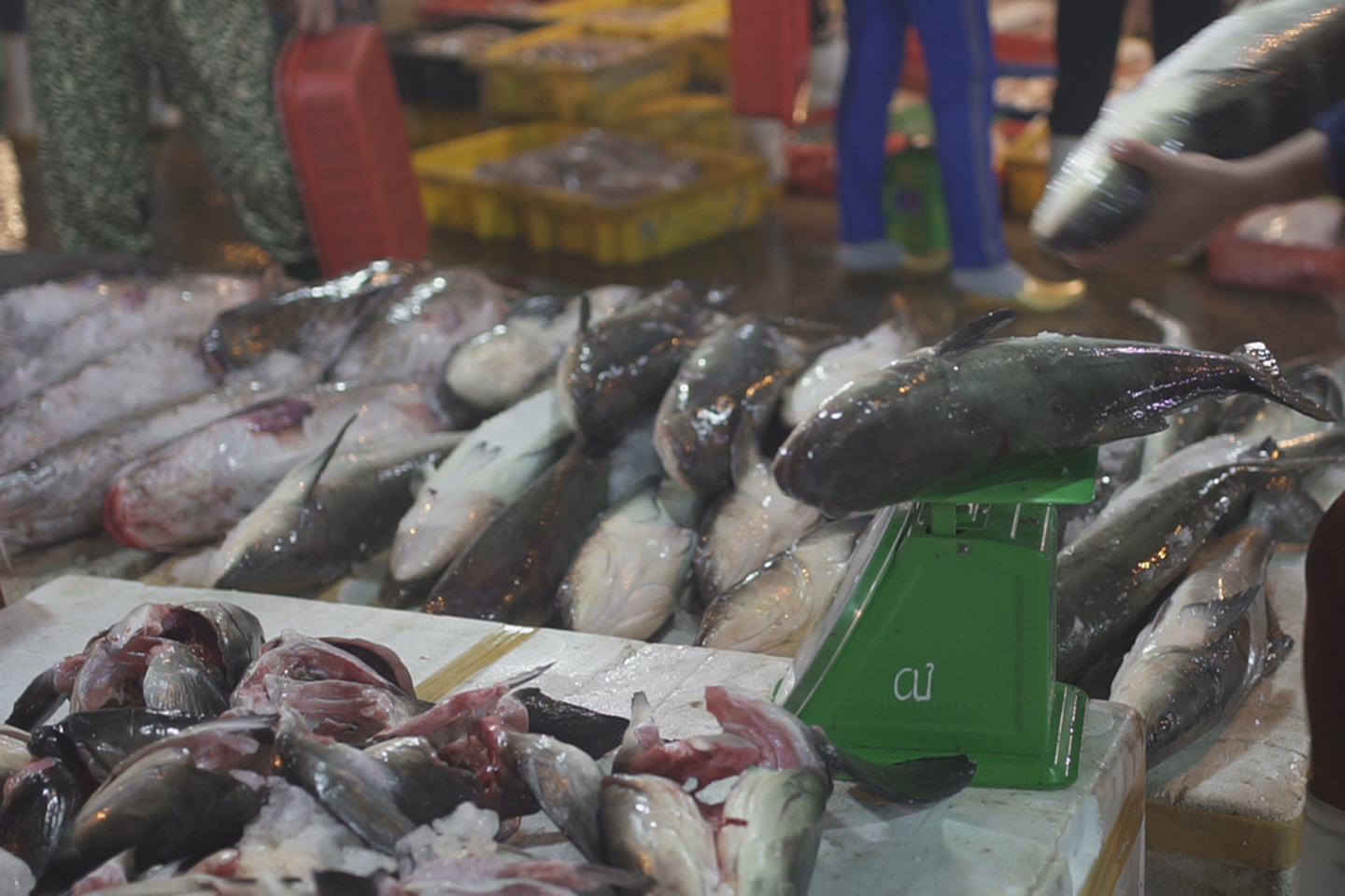 Vietnam: The Fishermen and the Sea