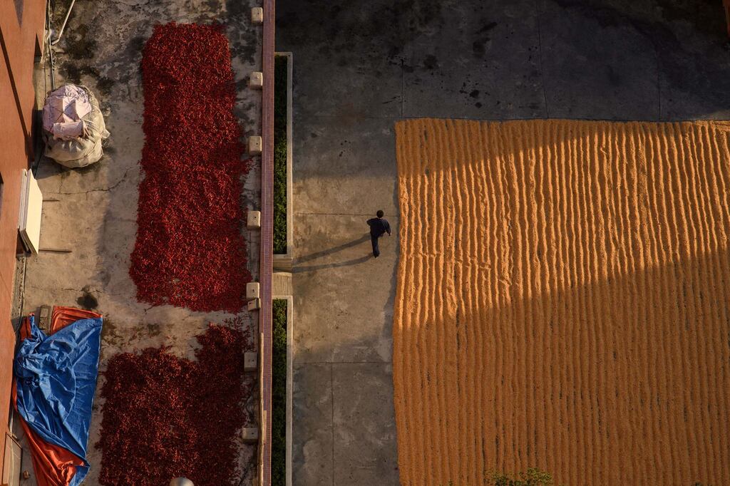 North Korea ‘mobilizes’ students to fight yearly ‘corn battle’ – Radio ...