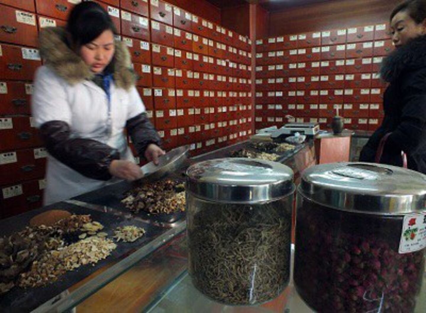 Popular Chinese Medicine Herbs 'Poisoned' by Pesticides – Radio Free Asia