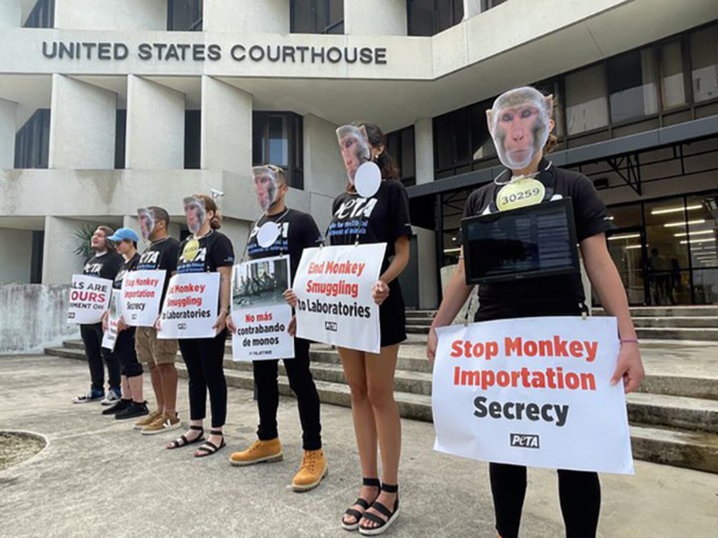 How the US failed to stop a Cambodian monkey ‘smuggling conspiracy ...