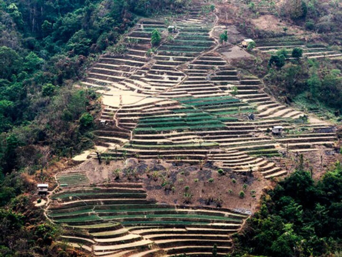 Chin Seek Sustainable Farming Methods – Radio Free Asia