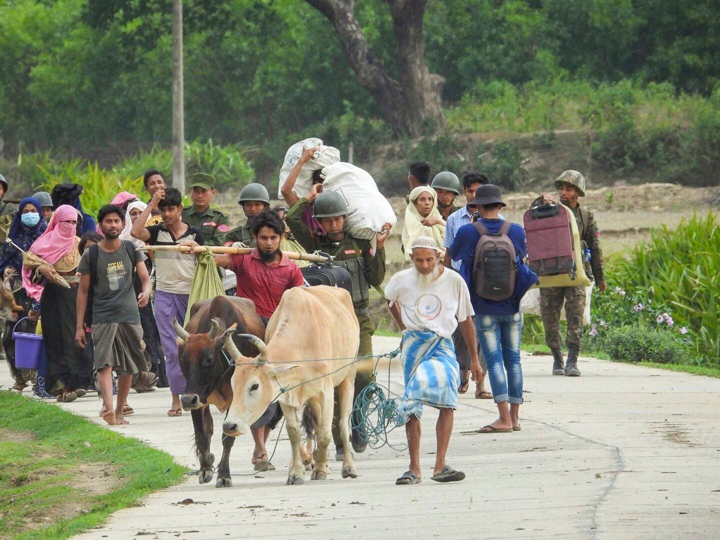 Thousands of Rohingyas flee to rebel territory amid clashes in Rakhine ...